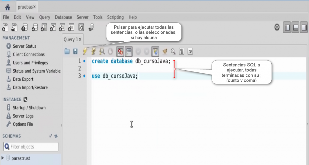 MySQL- Utilizando Workbench