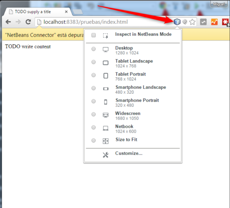 Trabajando con Netbeans. HTML5, CSS3, y Javascript